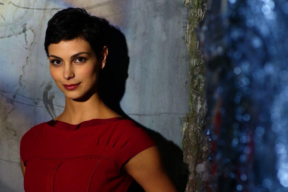 Πολλαπλές Ευφυΐες | Τerrapapers