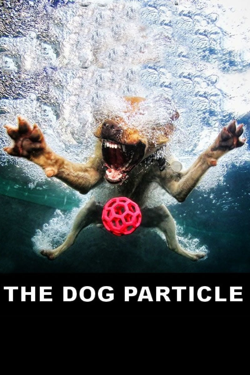 Ο Ίων Ανακάλυψε το DOG particle! | Τerrapapers