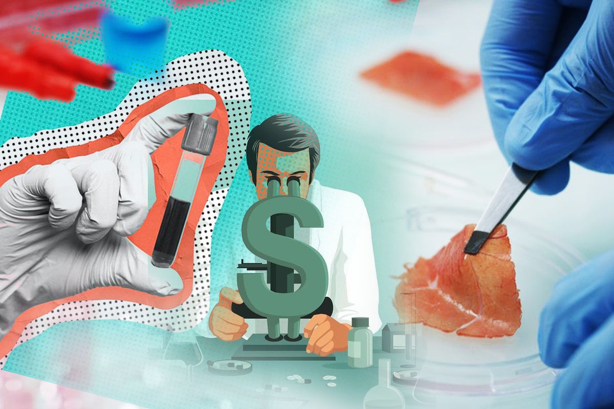 Καλλιεργώντας Κρέας στο Εργαστήριο | Τerrapapers