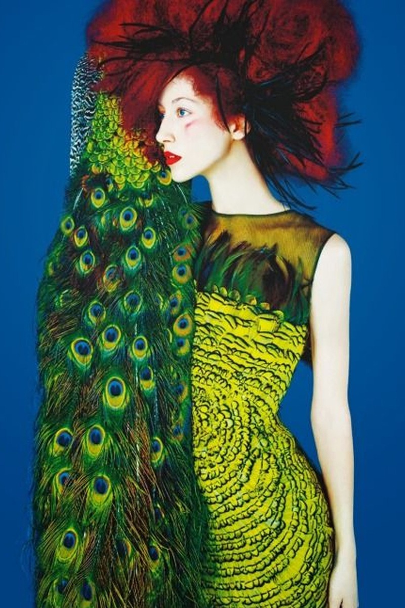 Το Σύνταγμα της Ηδονής | Τerrapapers